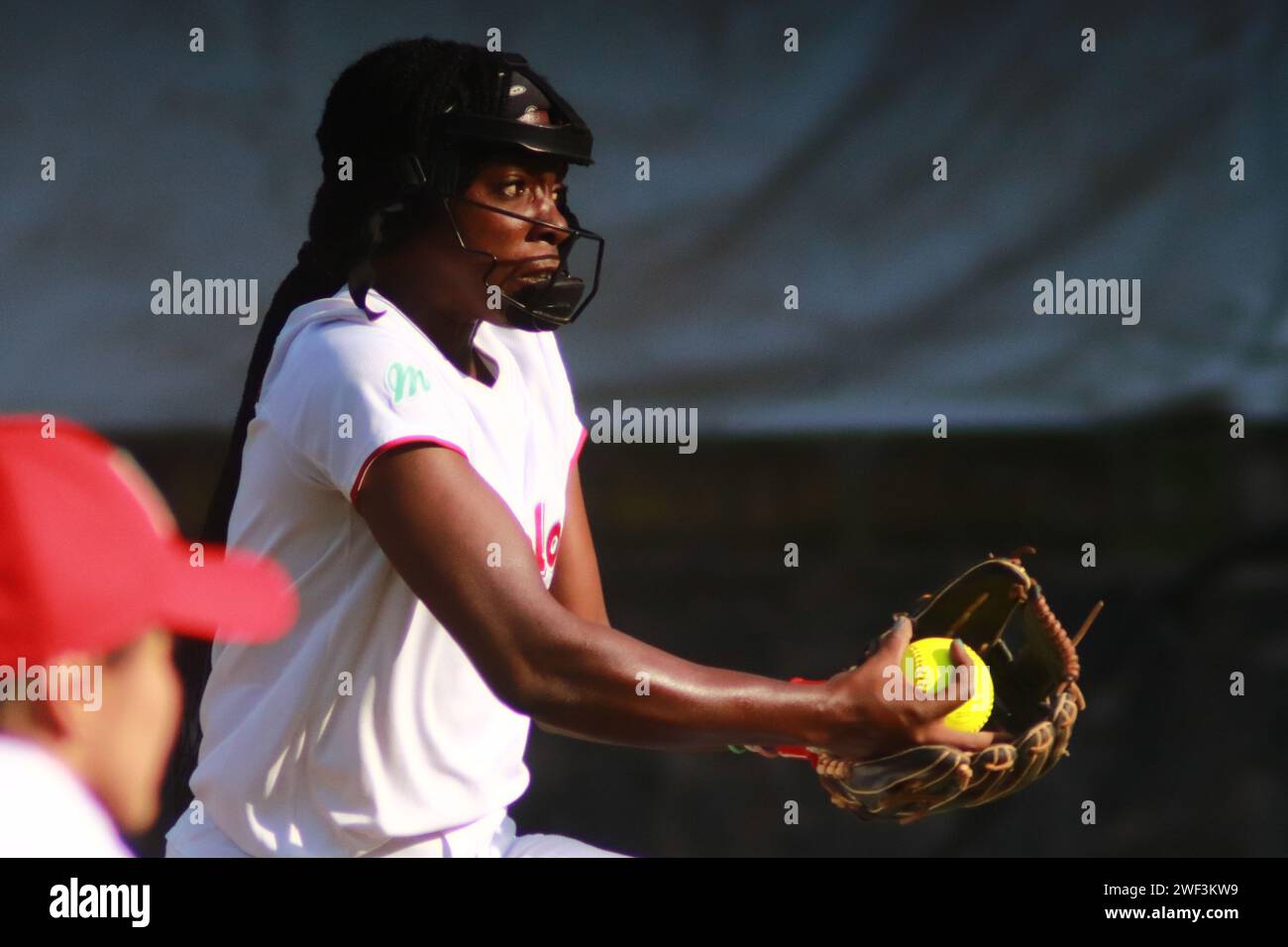 Non Exclusive: January 27, 2024, Mexico City, Mexico: Azalia Hernández ...