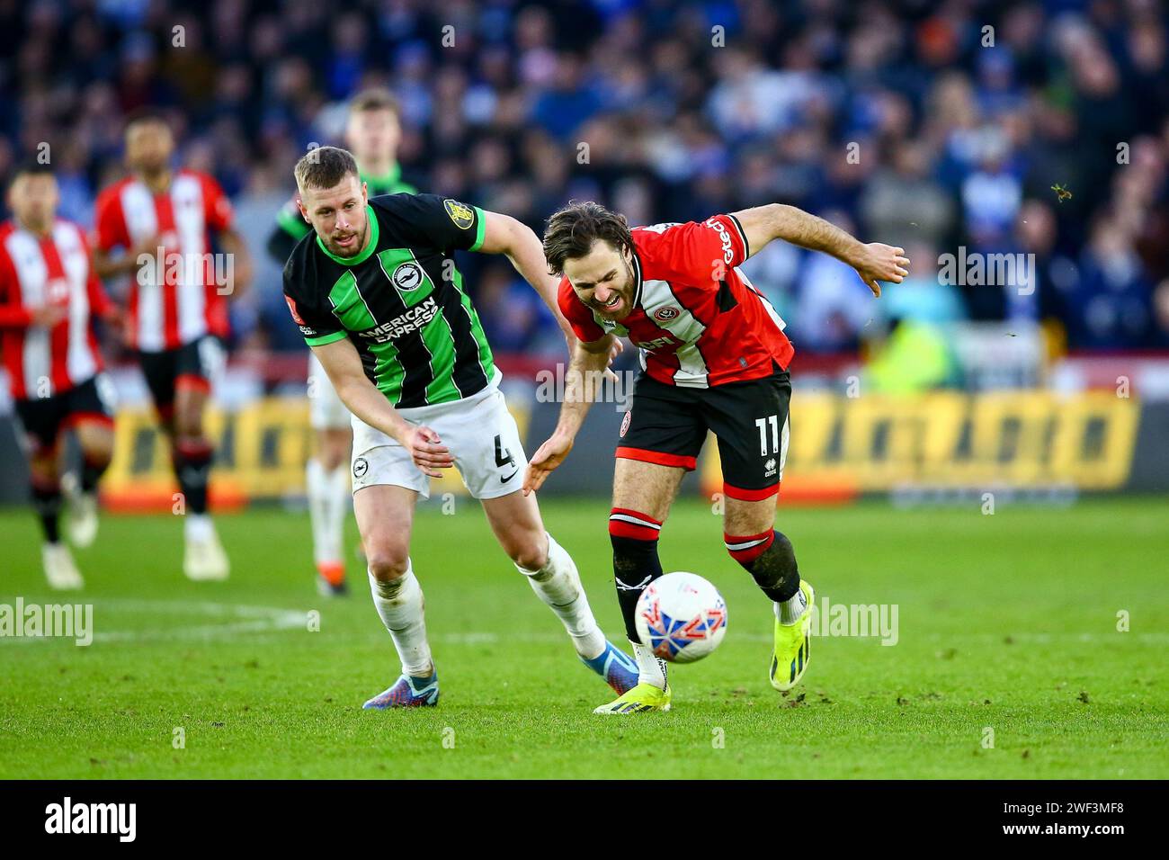 Bramall Lane, Sheffield, England - 27th January 2024 Ben Brereton Diaz ...