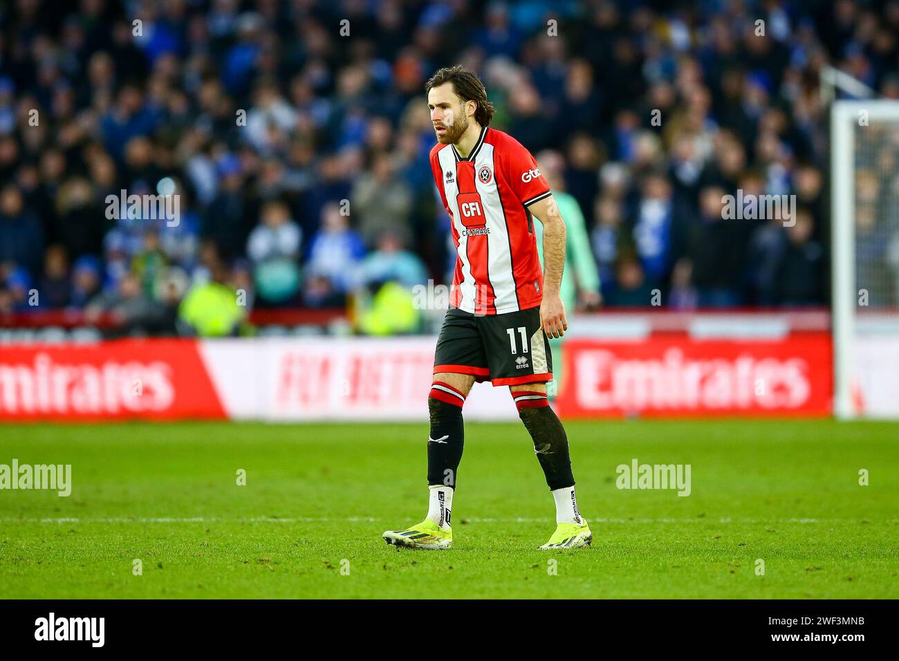 Bramall Lane, Sheffield, England - 27th January 2024 Ben Brereton Diaz ...