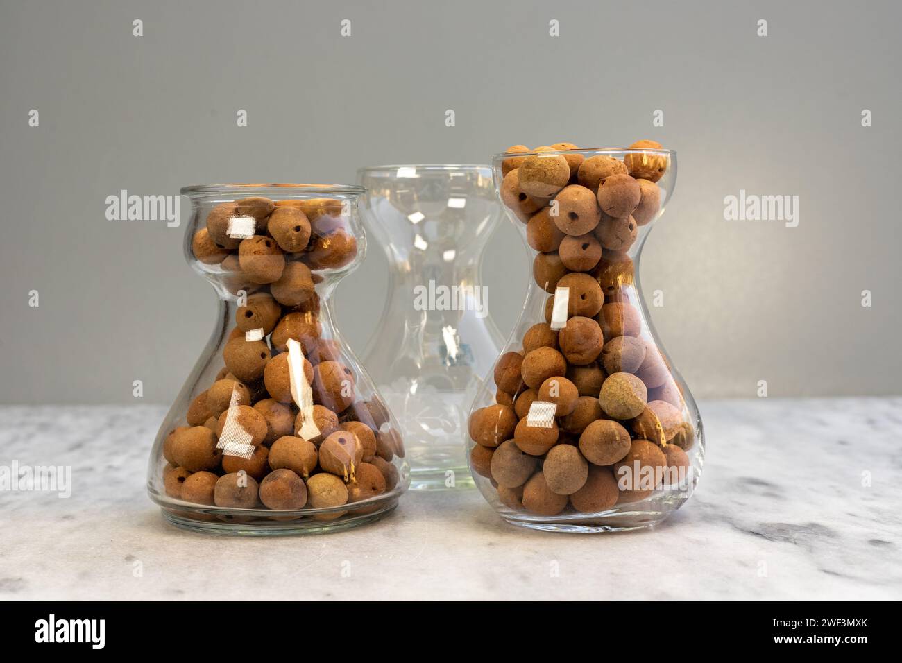 Clay pebbles for hydroponic gardening in a transparent glass vase Stock ...