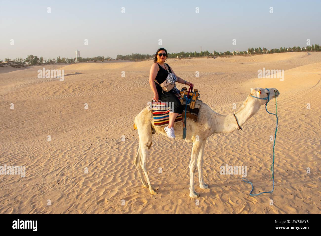 6.11.23 sahara desert, Tunisia: Young woman, Female tourist on camel ...