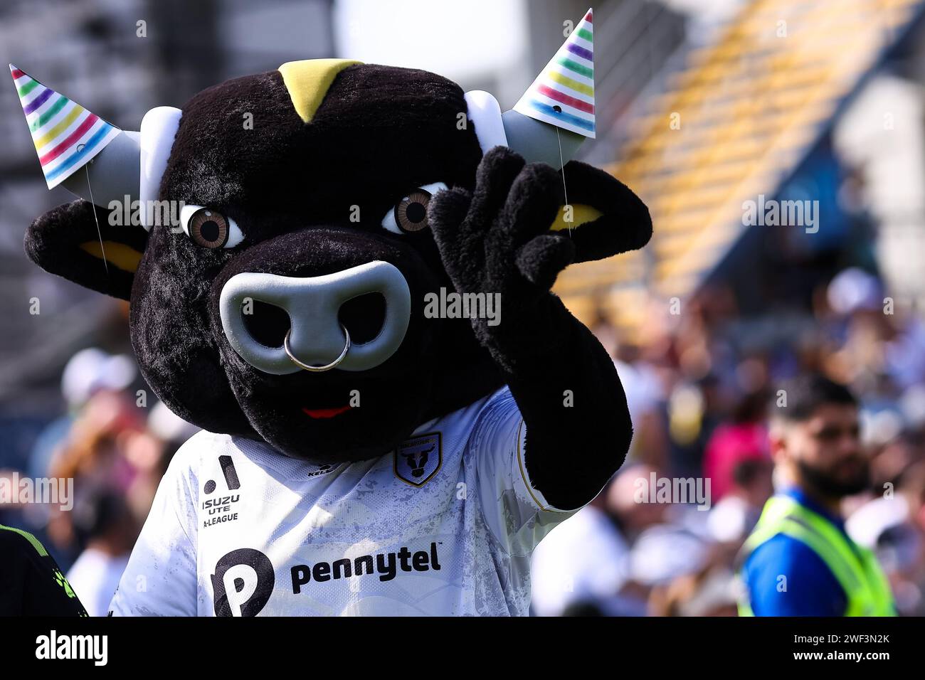 28th January 2024; Campbelltown Stadium, Sydney, NSW, Australia: A ...