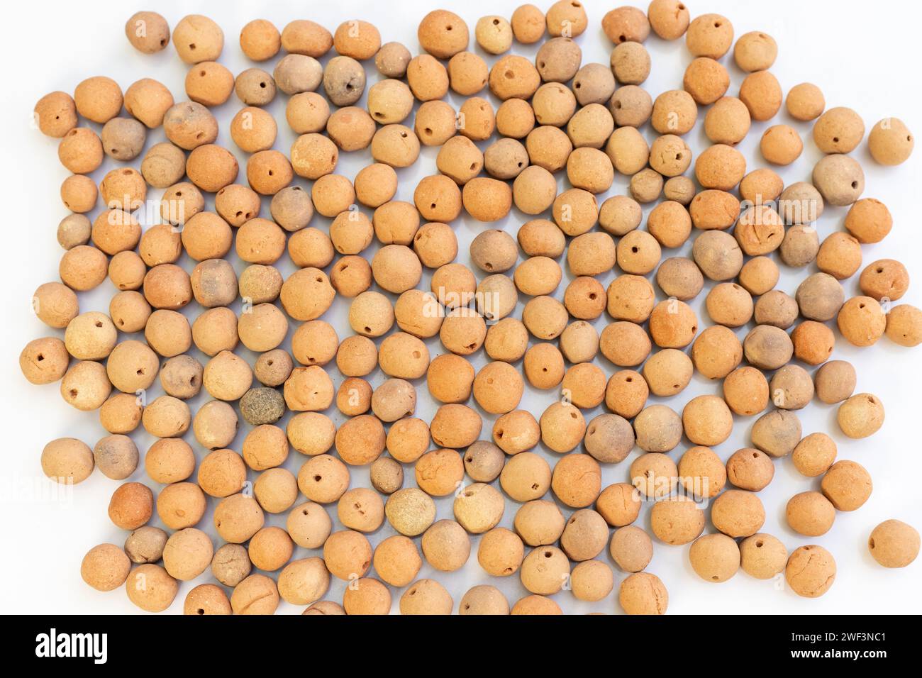 Light weight expanded aggregate clay balls closeup Stock Photo - Alamy