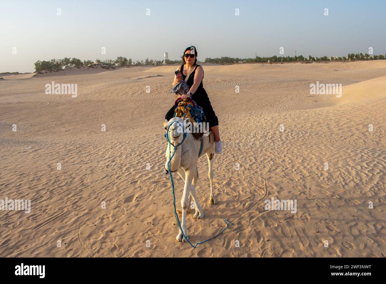 6.11.23 sahara desert, Tunisia: Young woman, Female tourist on camel ...