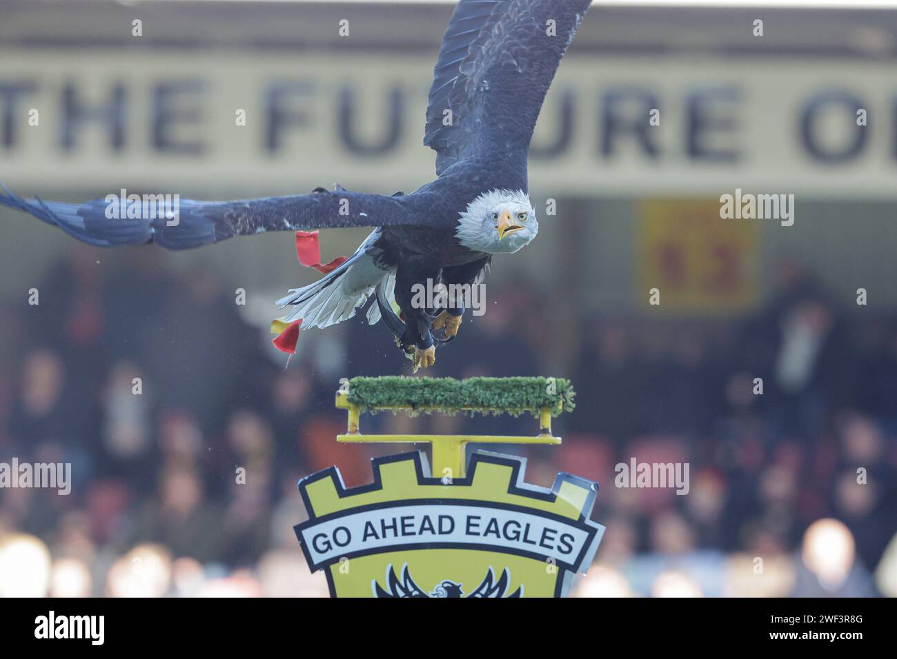 DEVENTER, NETHERLANDS - JANUARY 28: mascot of Go Ahead Eagles during ...