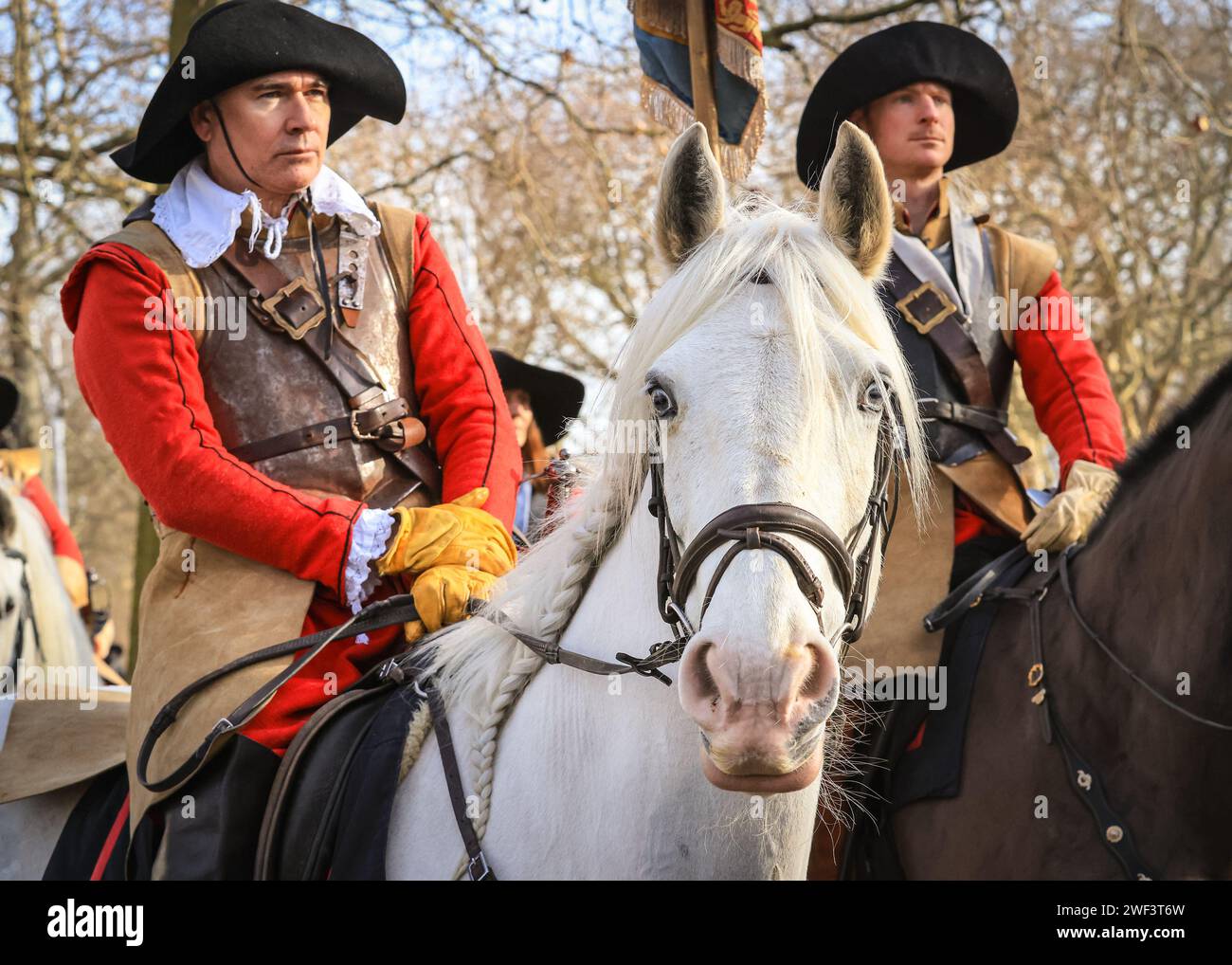 London, UK 28th Jan 2024. A beautiful horse called Maggie patiently ...