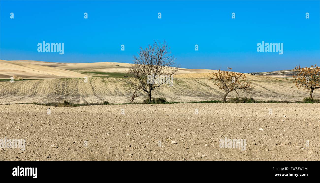 The unique topography of the landscape in and around Jerez la Frontera ...