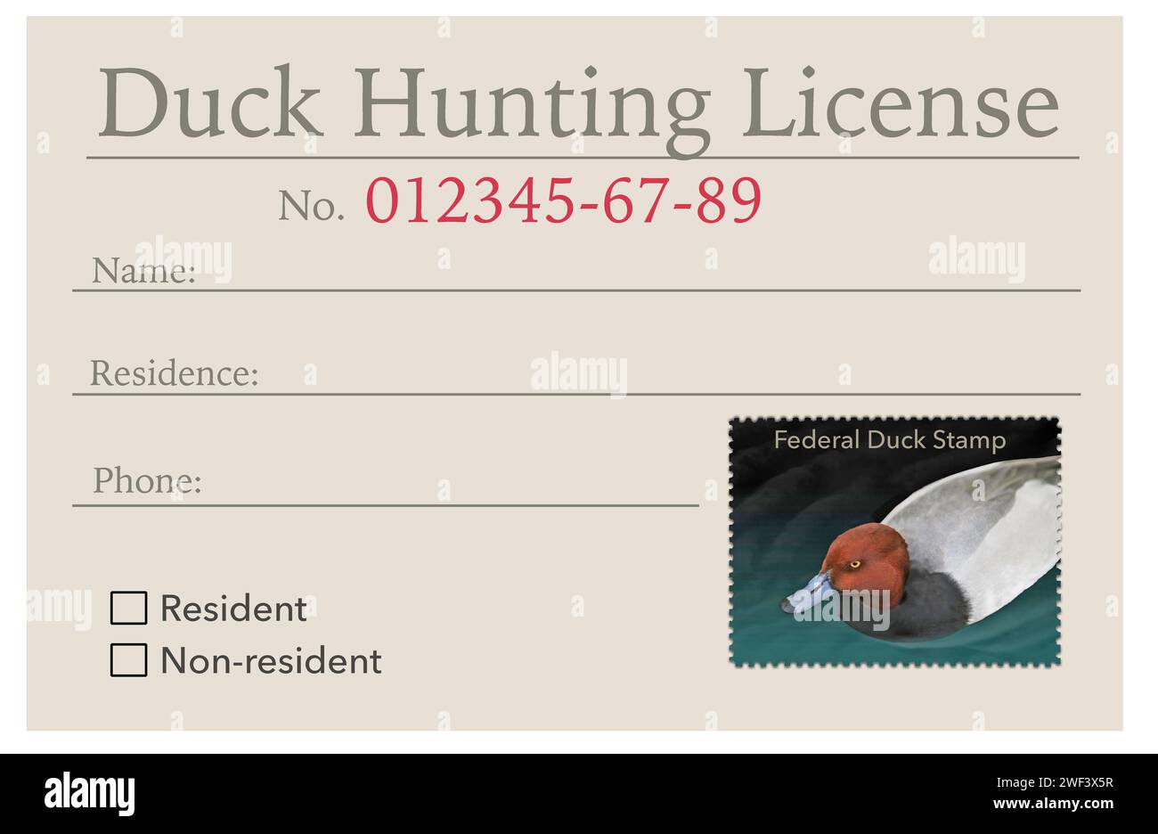 Waterfowl identification Cut Out Stock Images & Pictures - Alamy