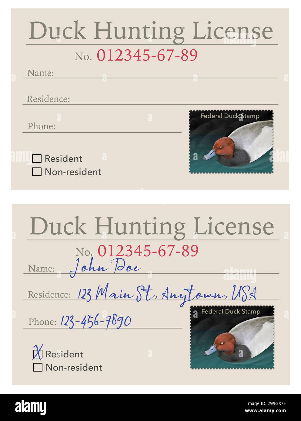 River filled with dog Cut Out Stock Images & Pictures - Alamy