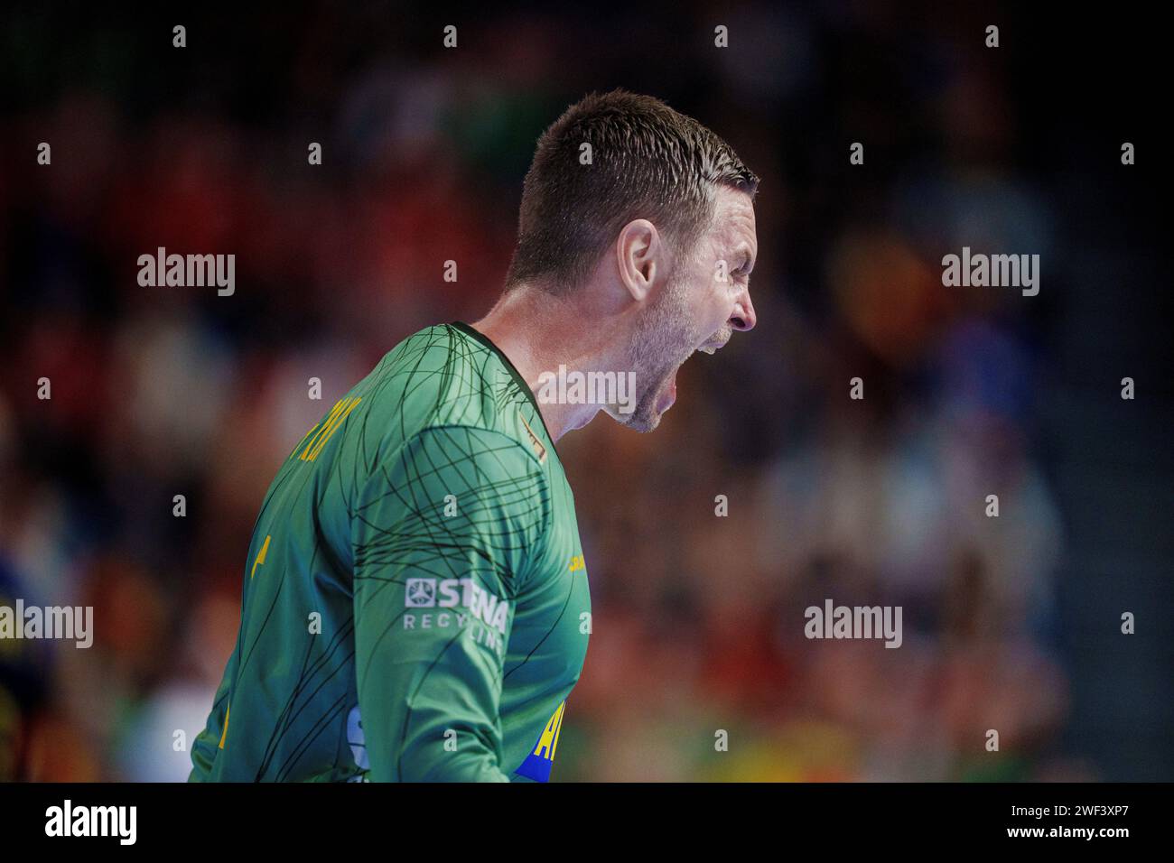 Sweden's Andreas Palicka during the bronze medal match between Sweden ...