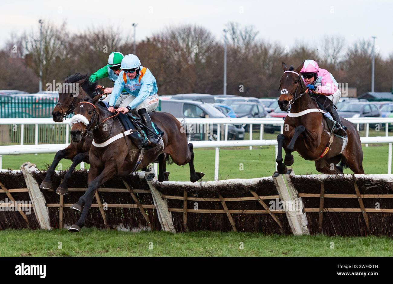 Middleham park racing xlii hi-res stock photography and images - Alamy