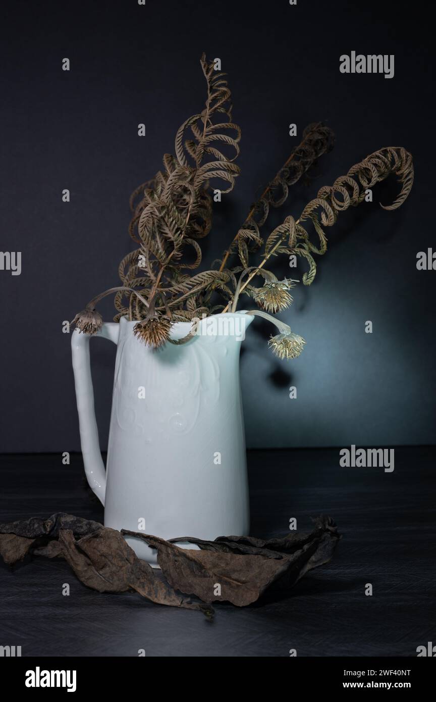 A winter bouquet of stems that have been damaged by a hard freeze Stock ...