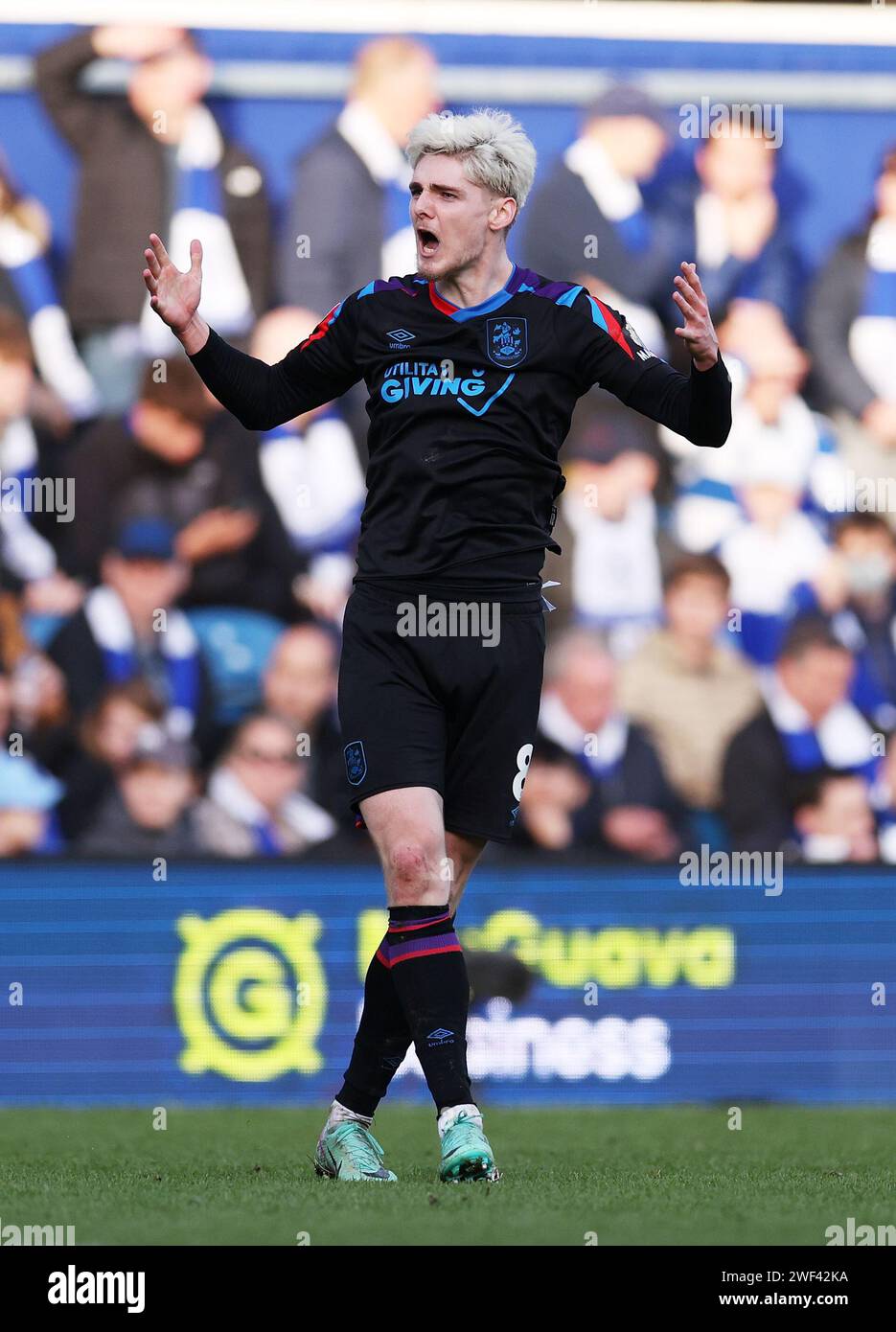 Huddersfield Town's Jack Rudoni celebrates scoring the opening goal of ...