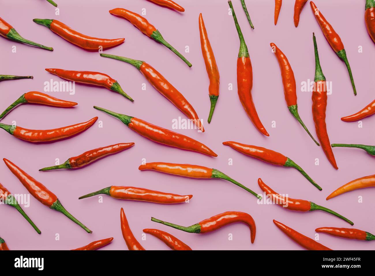 Red hot chilli pepper on purple background, flat lay, top view Stock ...