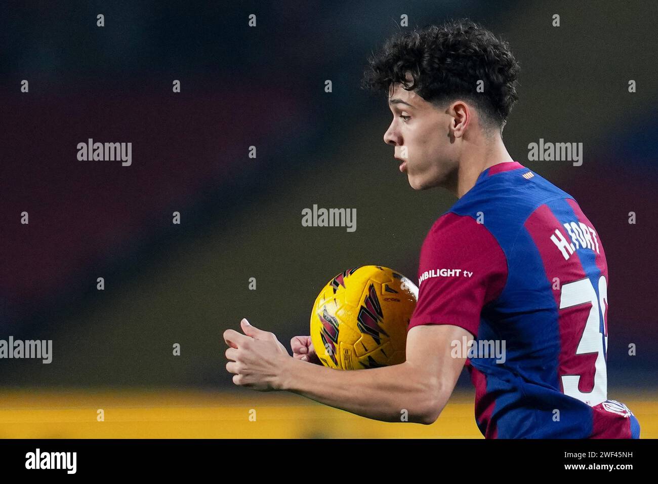 Hector fort hi-res stock photography and images - Alamy