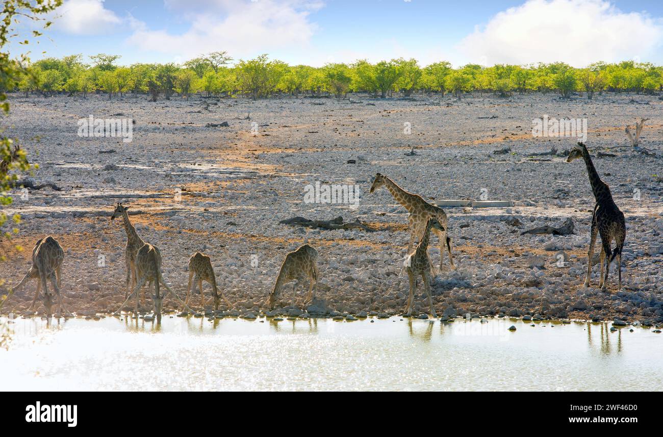 Scenicv view hi-res stock photography and images - Alamy