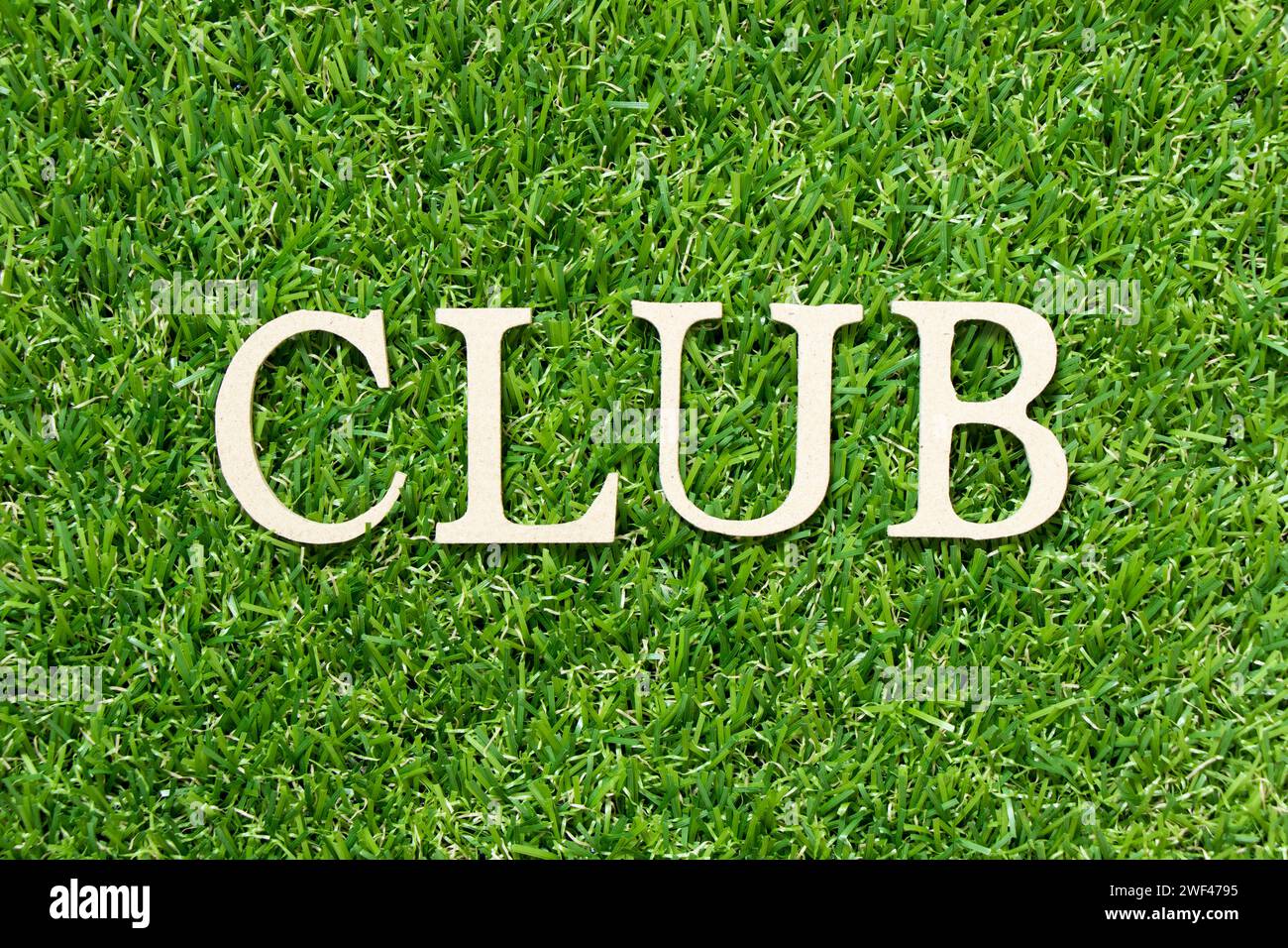 Wood letter in word club on green grass background Stock Photo - Alamy