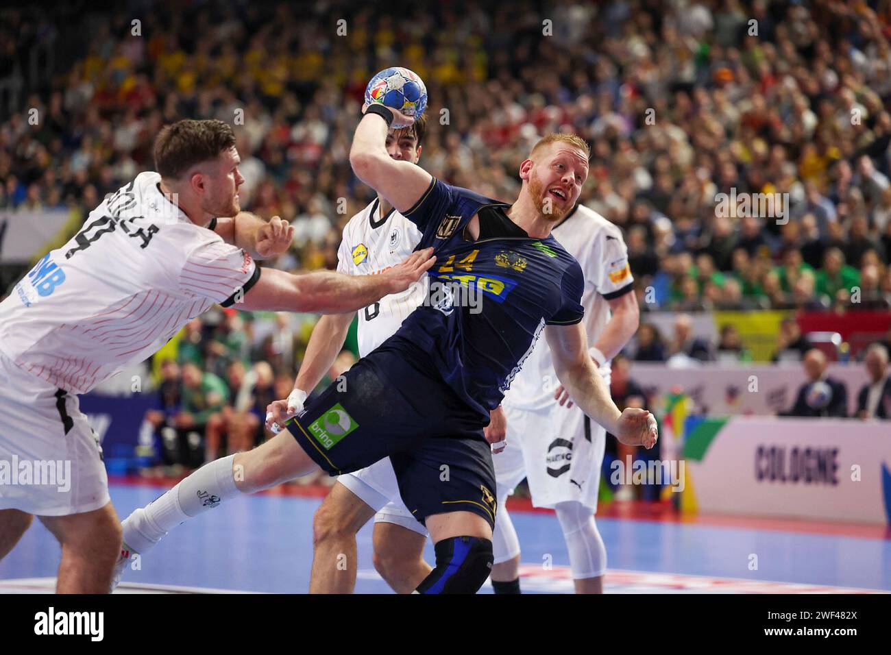 COLOGNE, GERMANY - JANUARY 28 Lanxess Arena, Men's EHF Euro 2024 ...