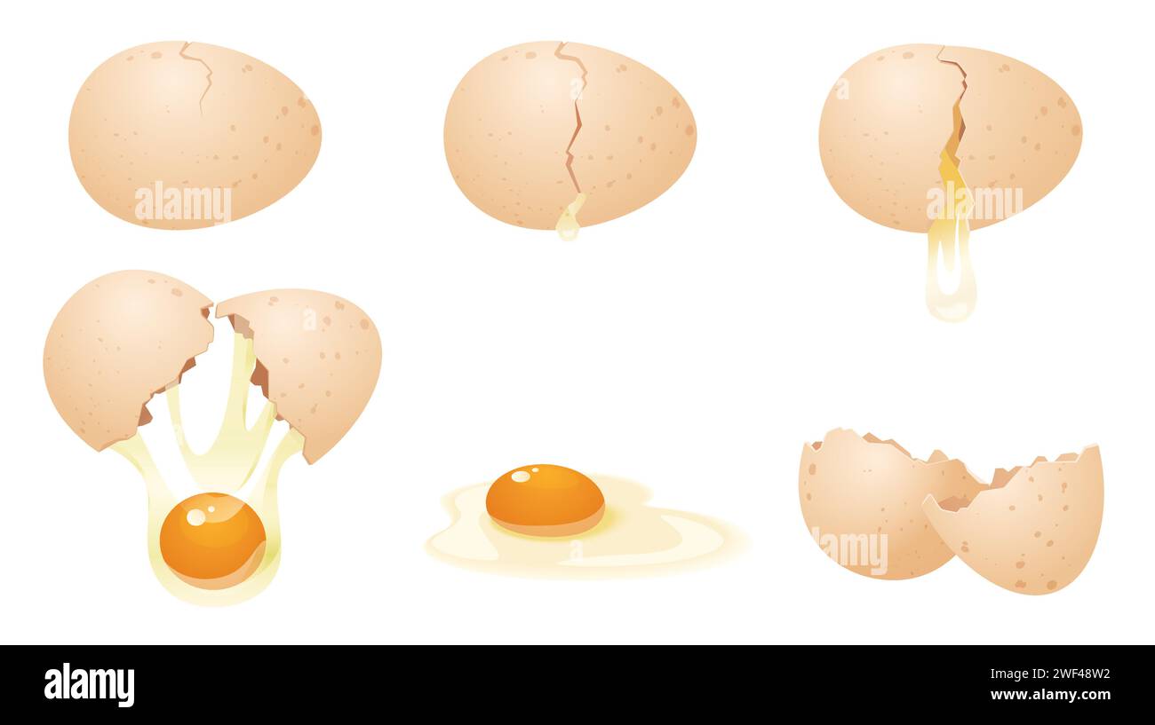 Breaking egg for cooking set, 3D realistic sequence game animation. Animated stages of cracking ...