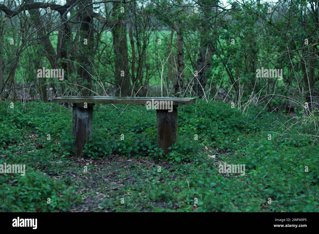 Scary bench hi-res stock photography and images - Alamy