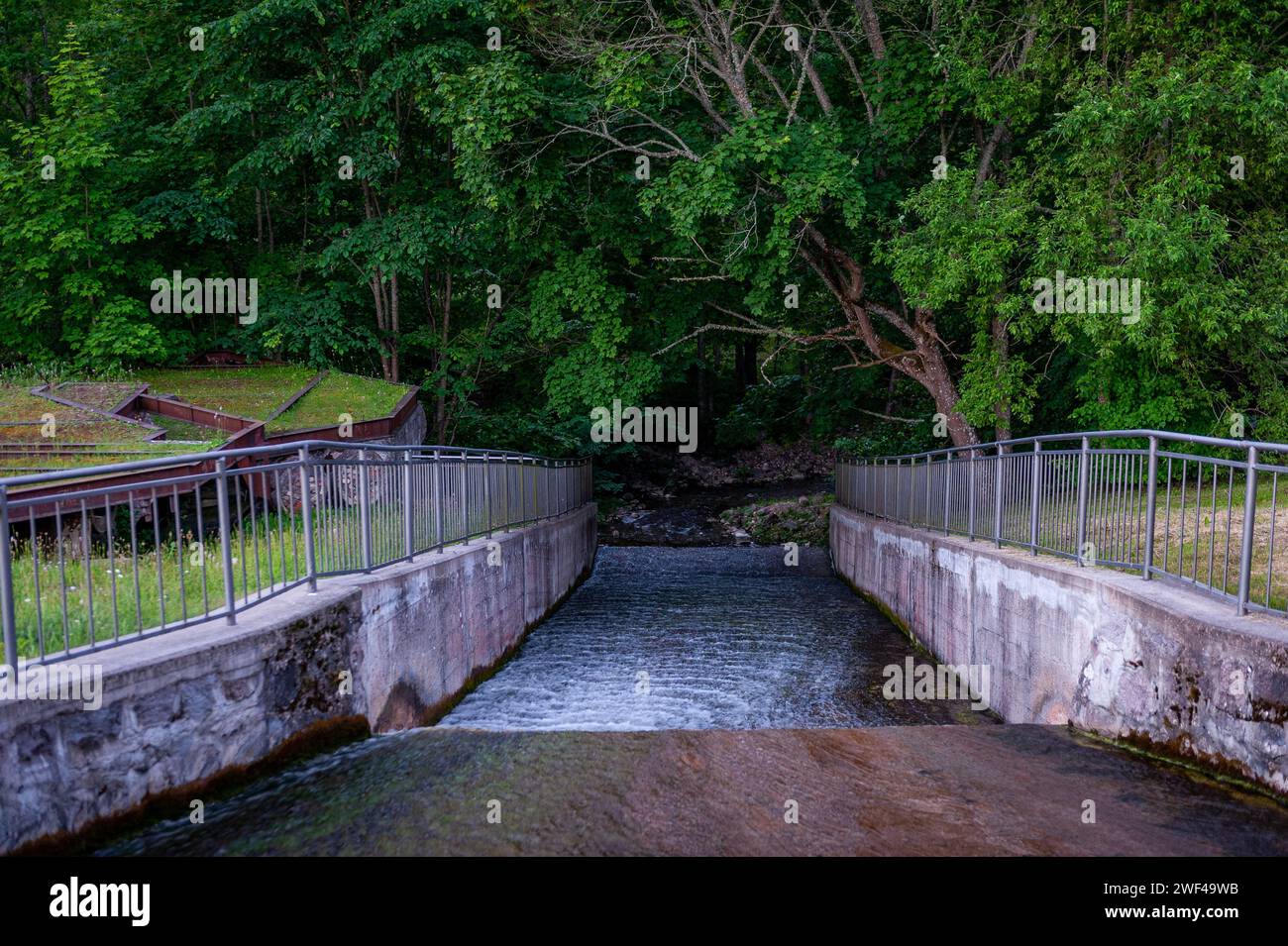 An artificially constructed gutter in the bed of river forms a ...
