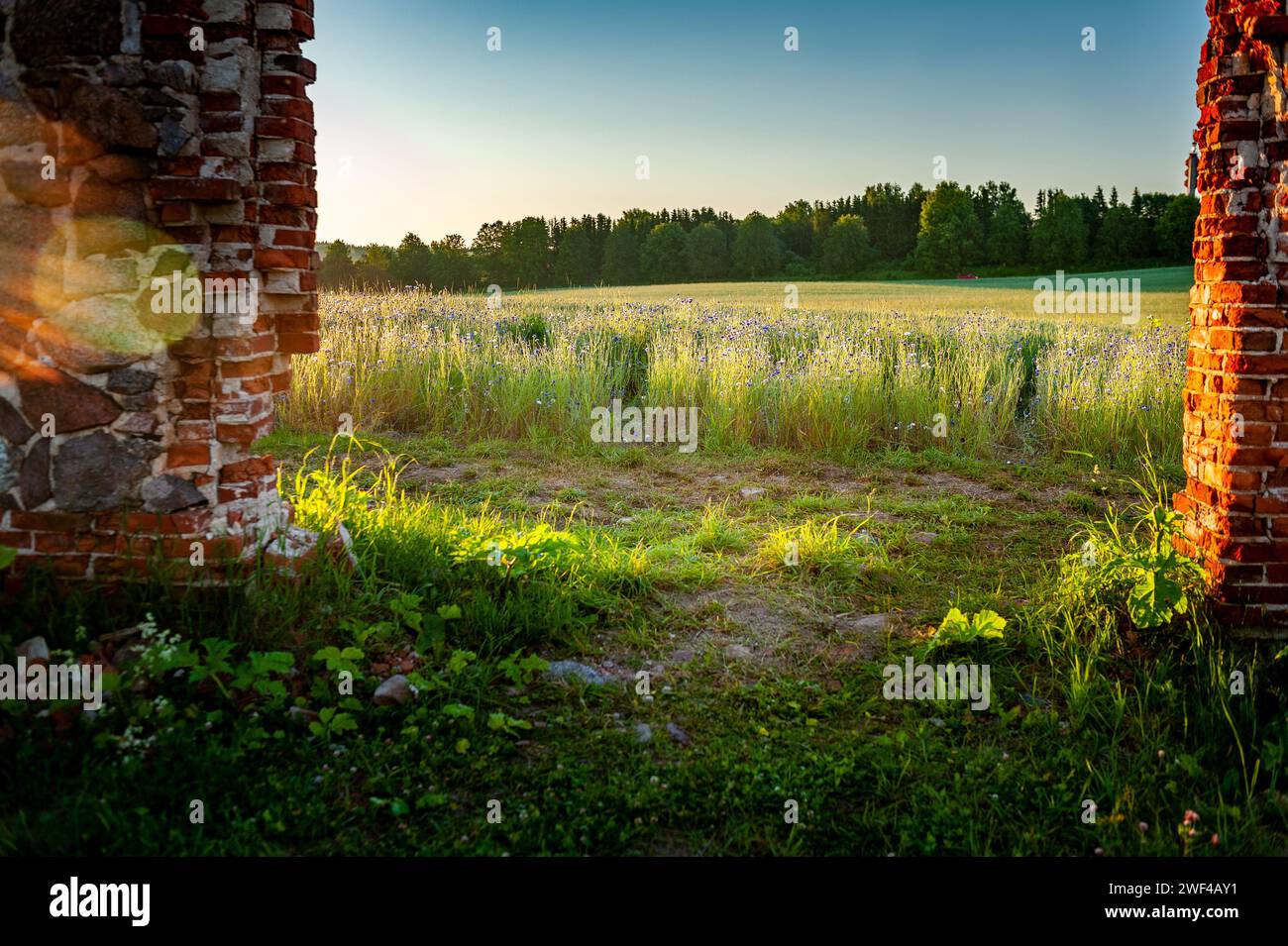 Ruins of an old barn made of boulders and red bricks in the middle of a ...