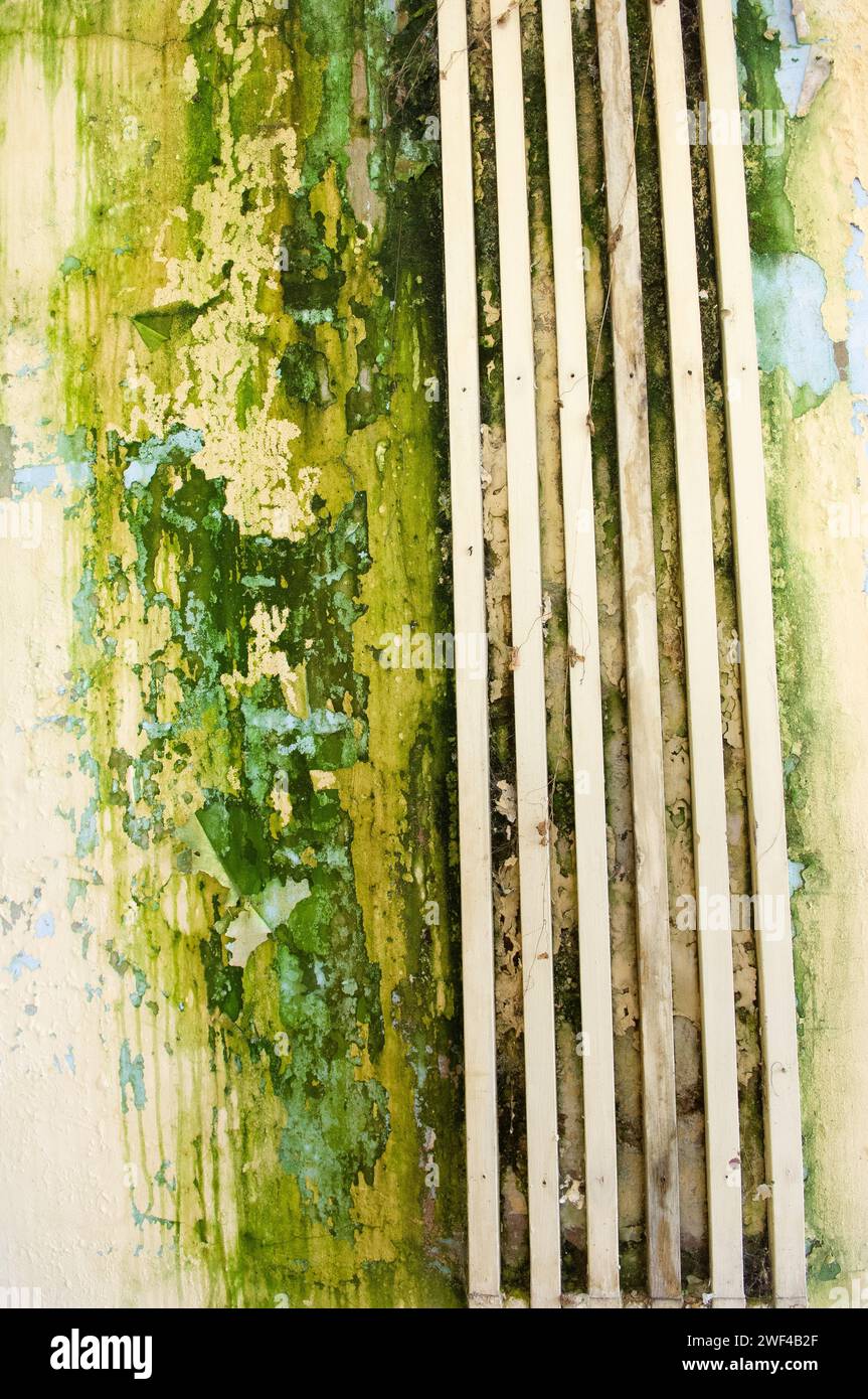 Mouldy wall hi-res stock photography and images - Alamy