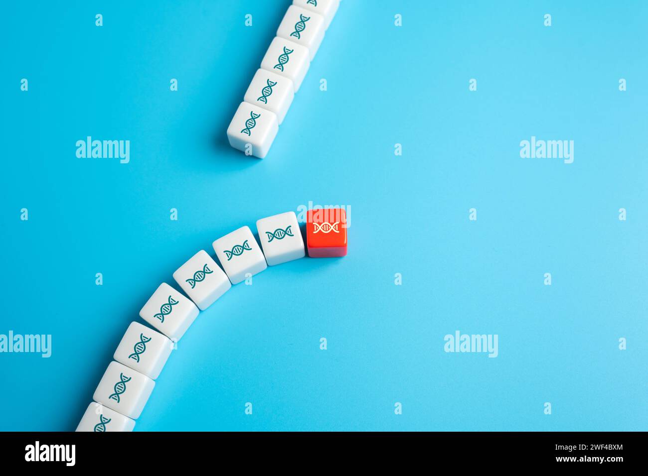 DNA damage. Mutation and deviations. DNA chain replication. Probability ...