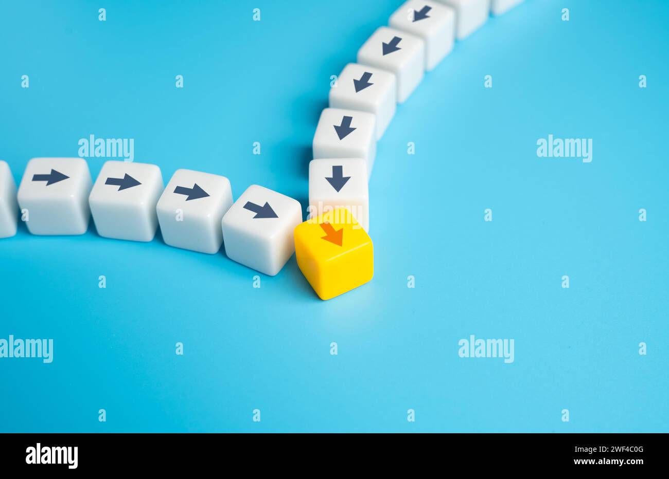 Define leadership and movement. Follow the leader. Guiding principle ...