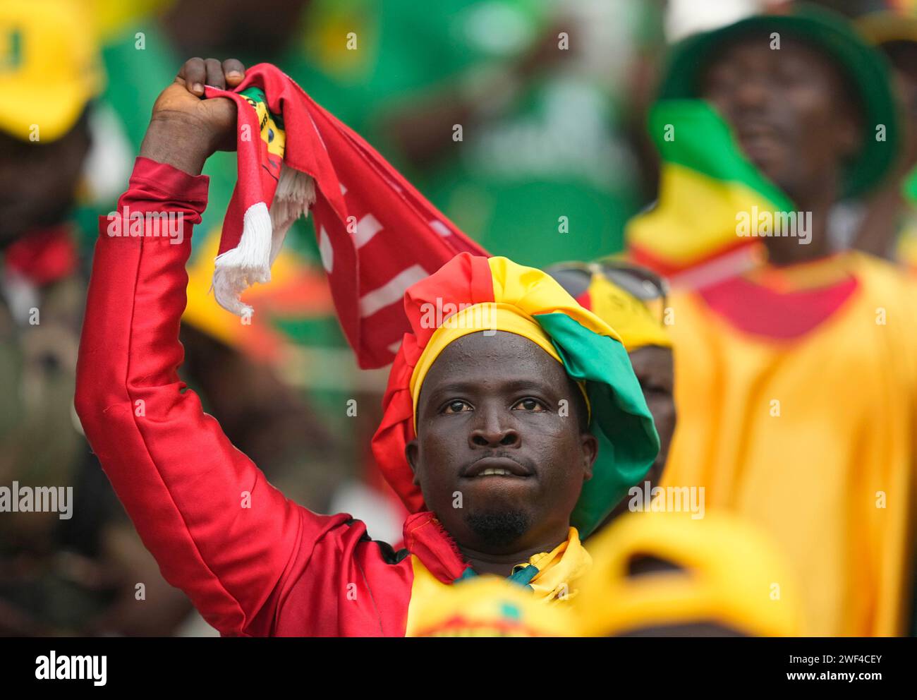 January 28 2024: Guinea fans during a African Cup of Nations Round of ...