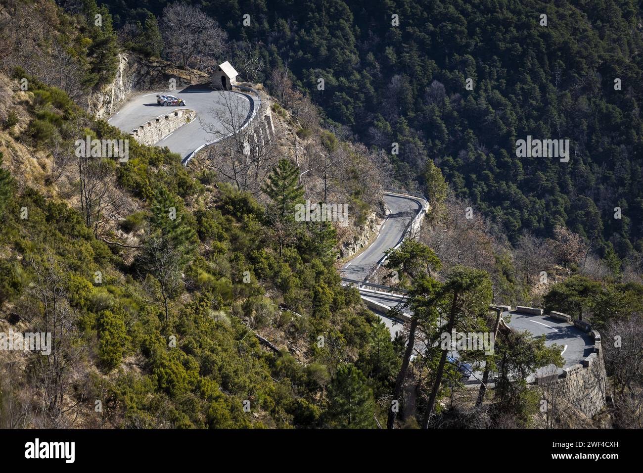 13 MUNSTER Gregoire, LOUKA Louis, Ford Puma Rally1, action during the ...