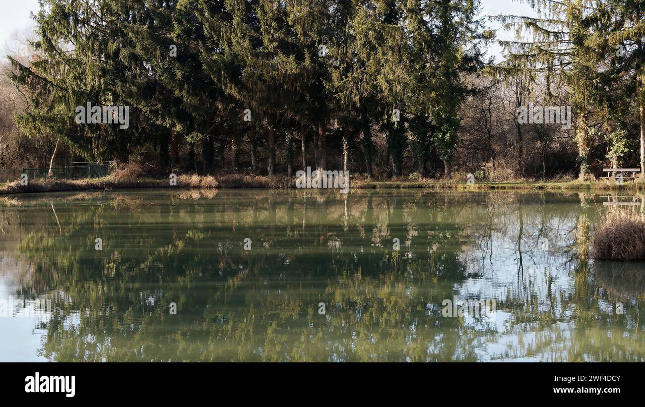 Beautiful view pond autumn hi-res stock photography and images - Alamy