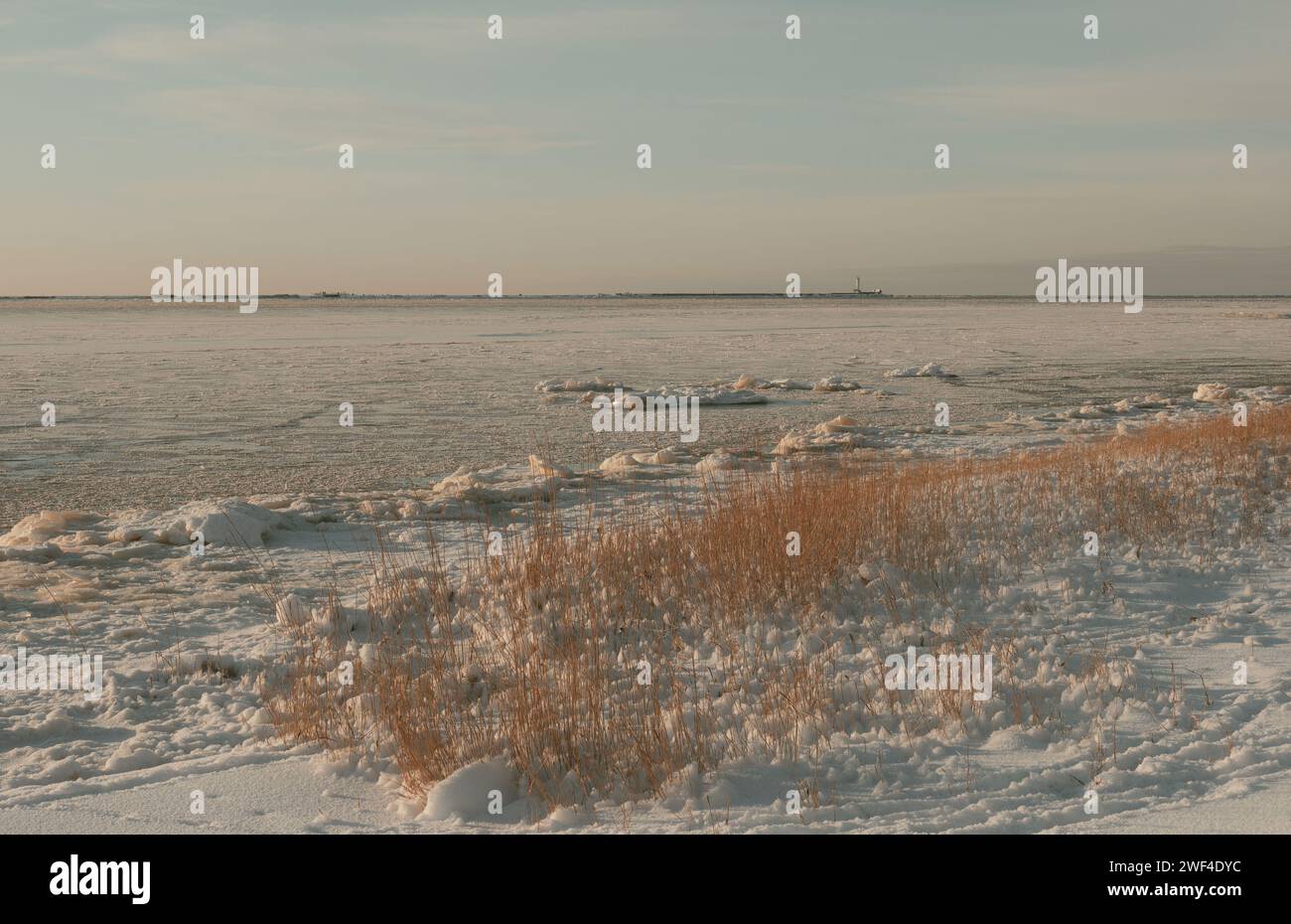 winter sea landscape with snow bushes frozen cold water with lighthouse on a background riga ...