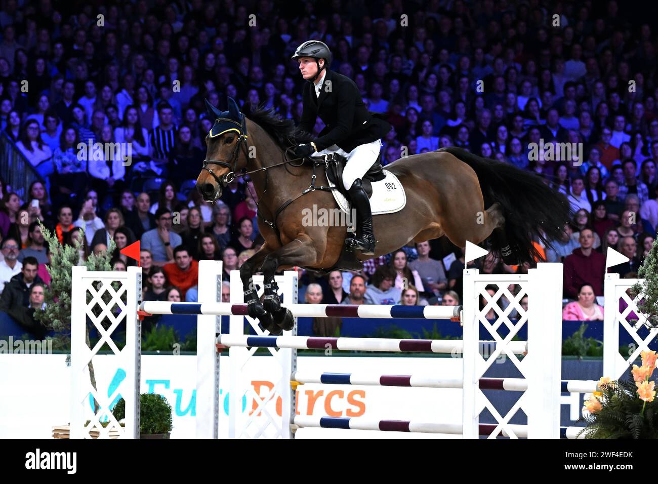 AMSTERDAM - Daniel Coyle on Legacy during the Longines FEI Jumping ...