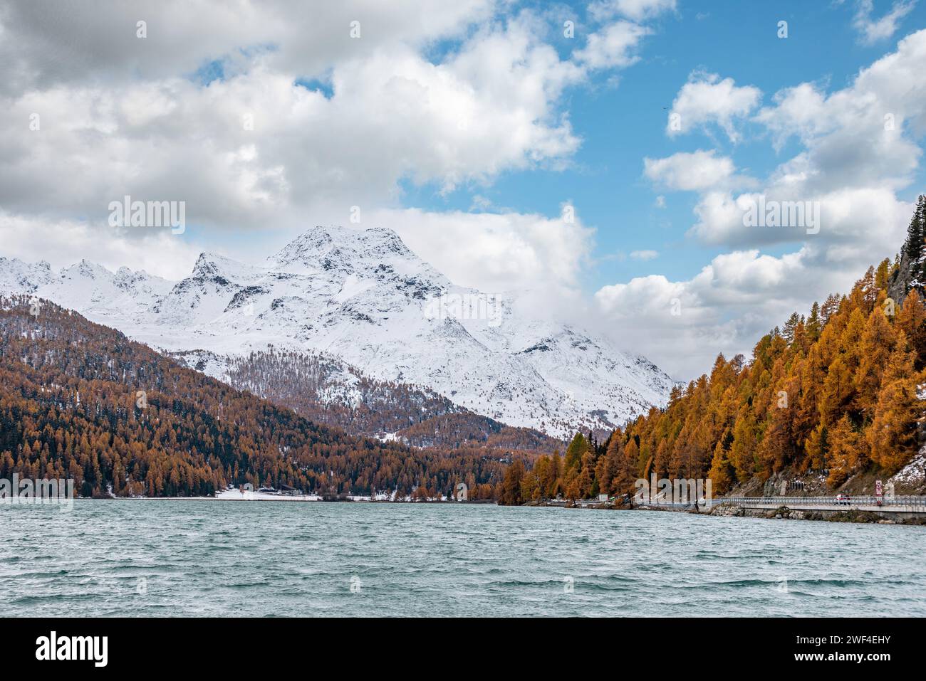 Lake Silsersee in autumn with snowcapped Piz da la Margna at the Maloja ...