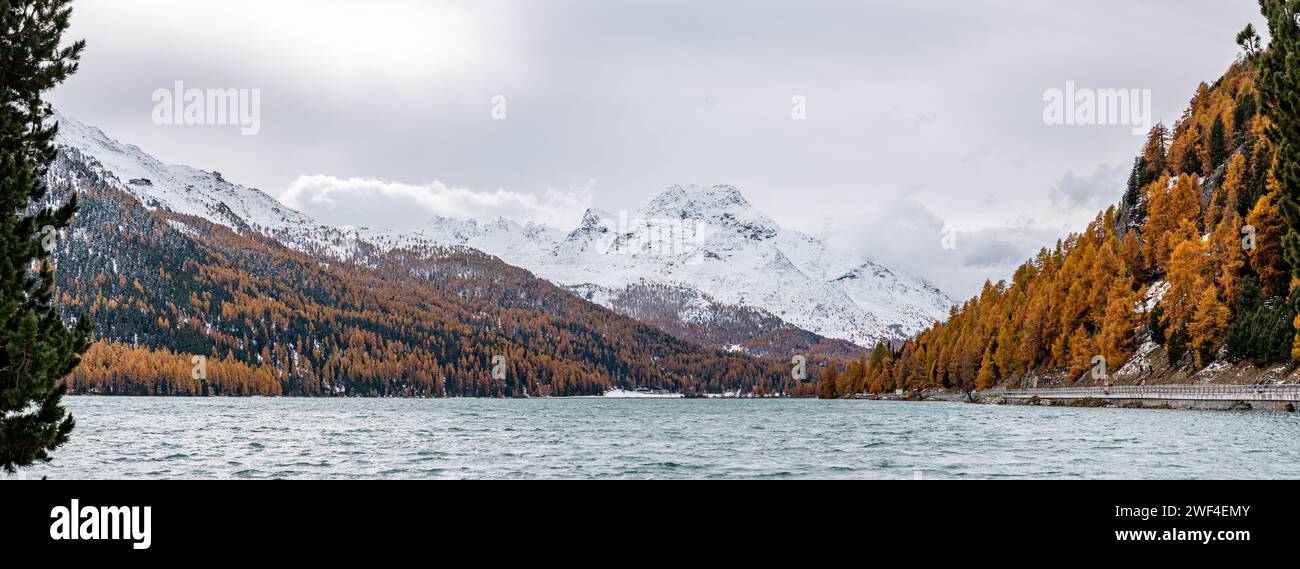 Lake Silsersee in autumn with snowcapped Piz da la Margna at the Maloja ...