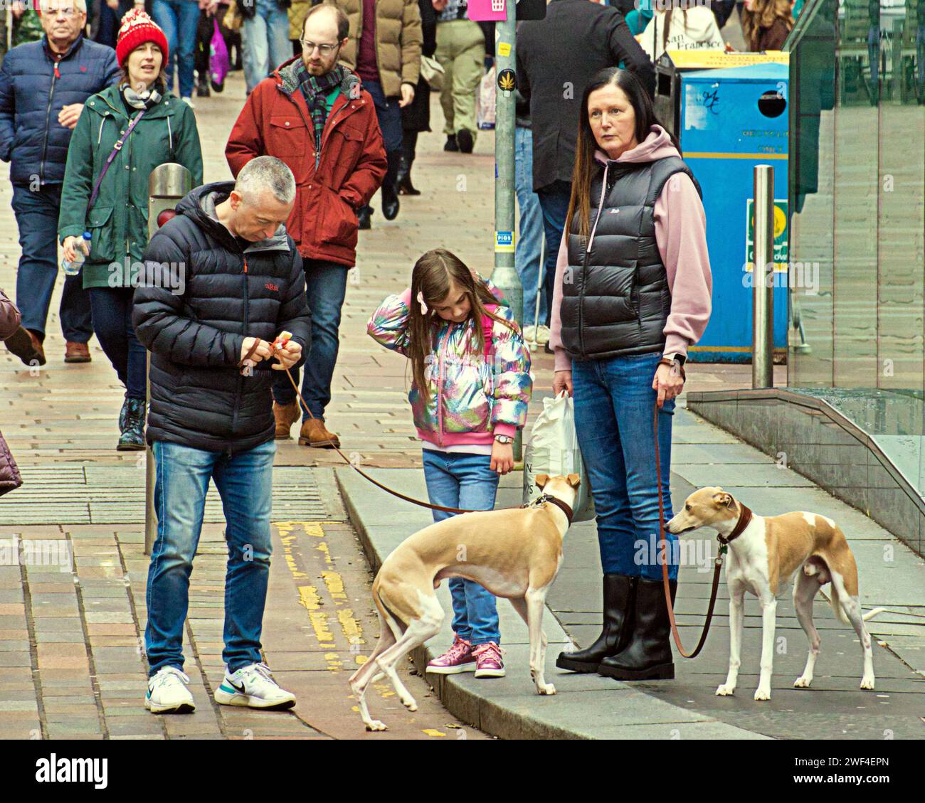 Glasgow, Scotland, UK. 23rd January, 2024. UK Weather: Miserable day ...