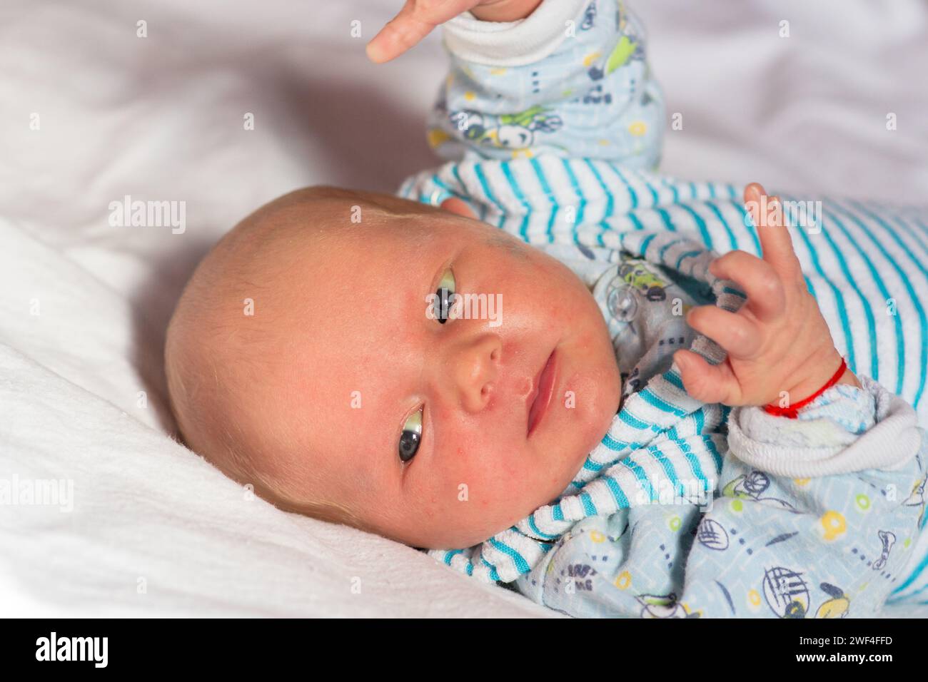 The newborn infant is awake with active motion movements Stock Photo ...