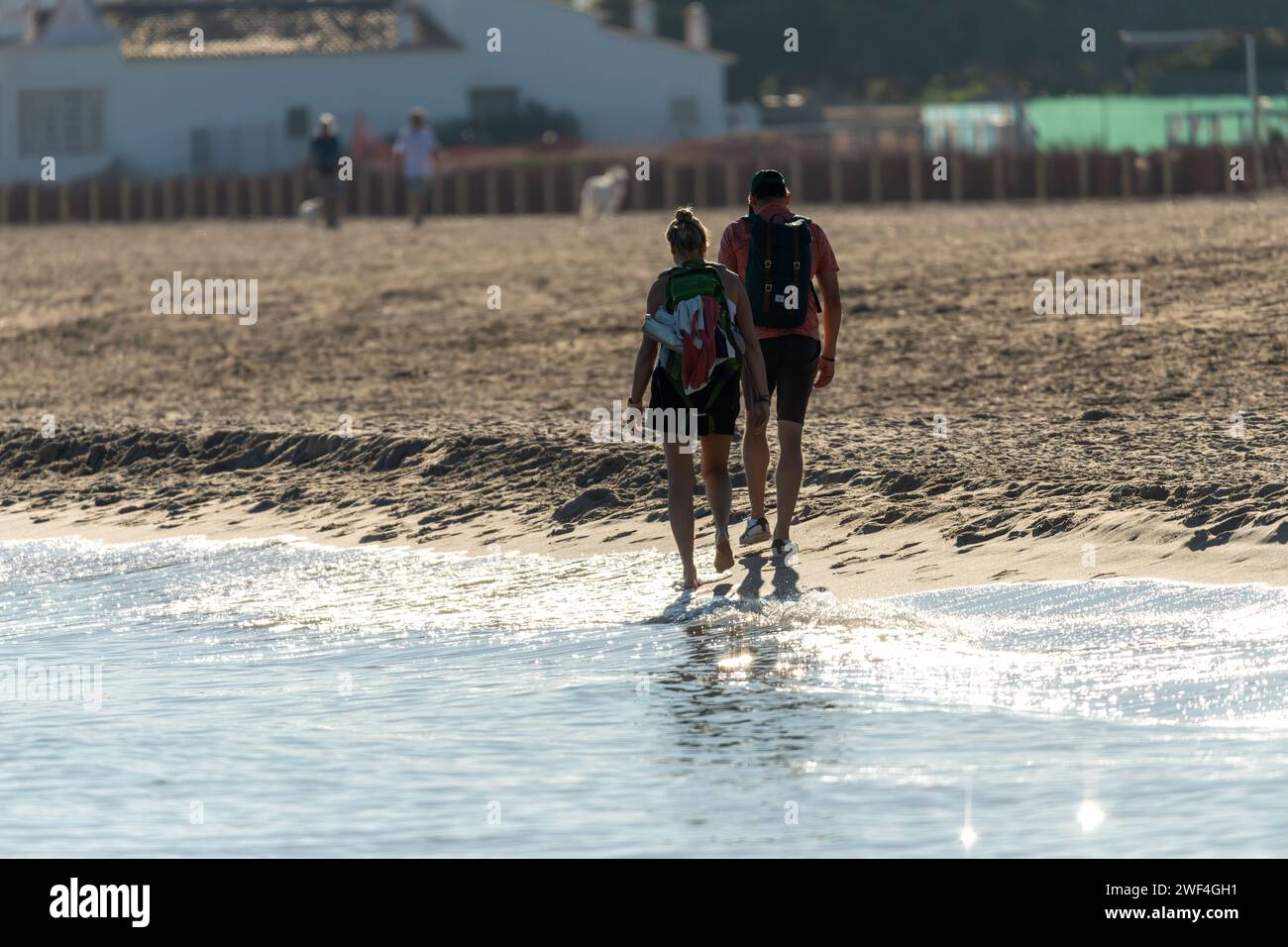 A couple from behind, taking a leisurely stroll along a beach. The sea ...