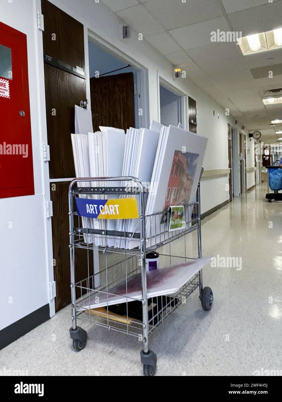 The Art Cart at a small town US small town, hospital that allows ...