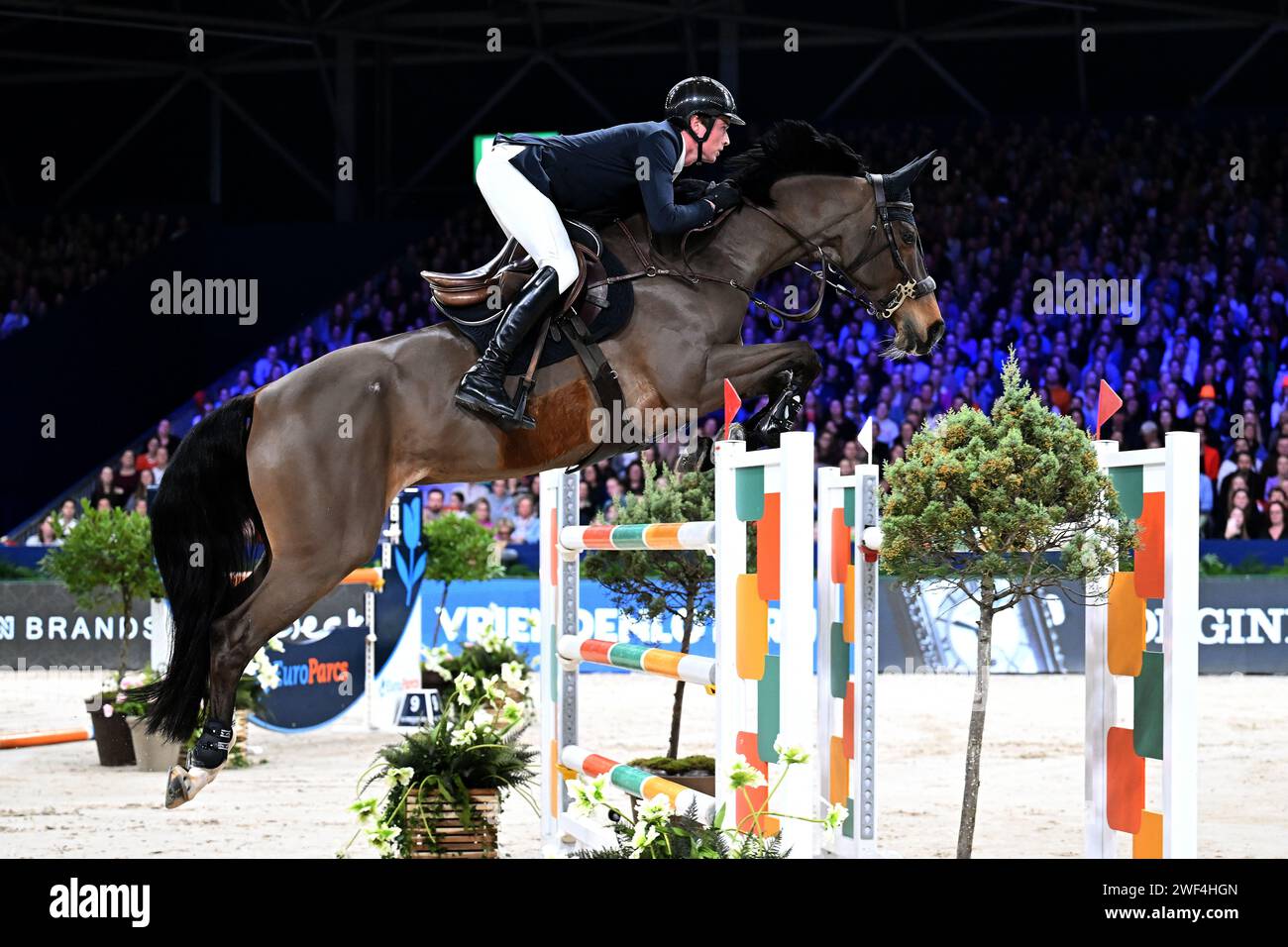 AMSTERDAM - Pieter Clemens on Emmerton during the Longines FEI Jumping ...