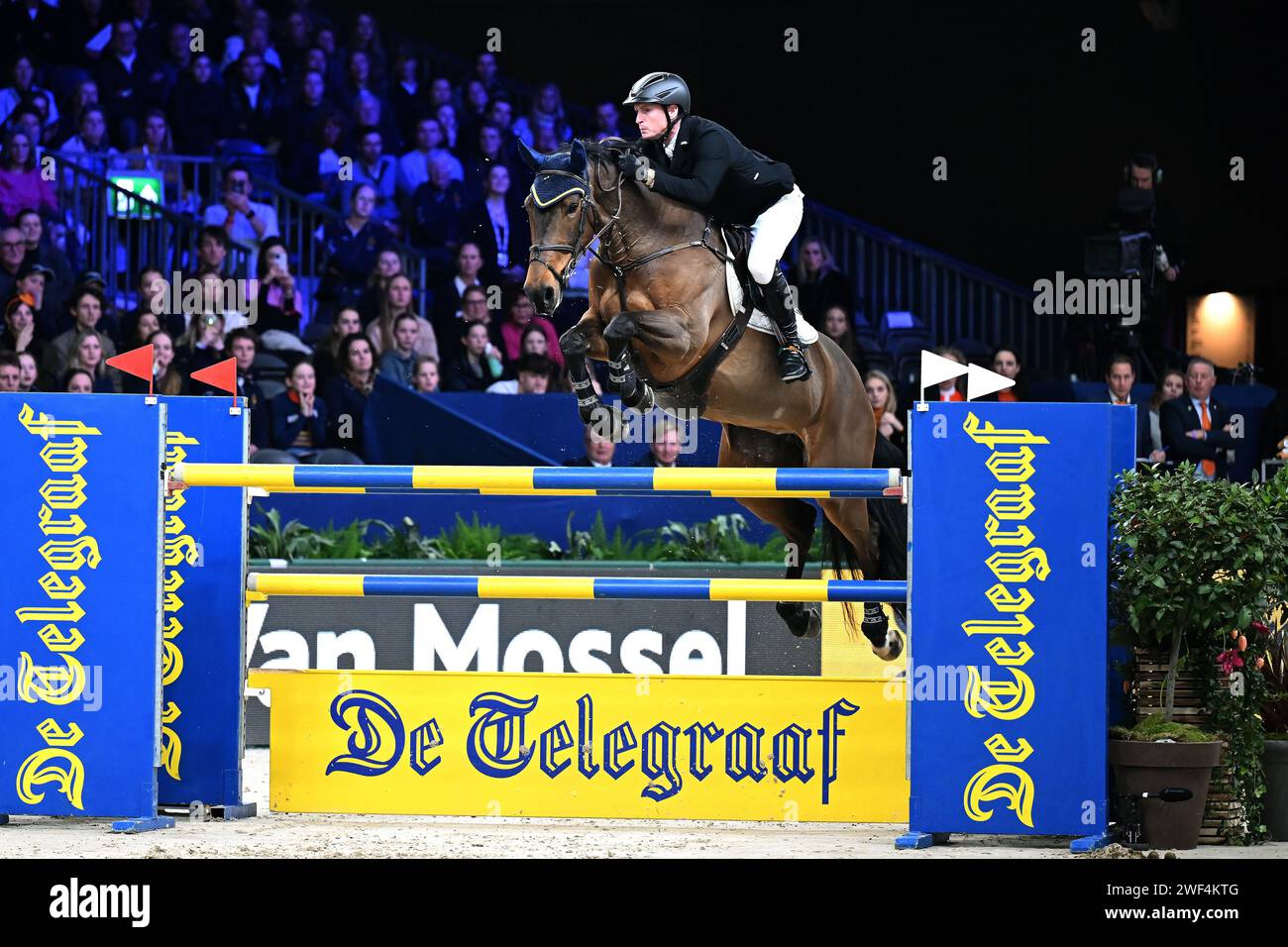 AMSTERDAM - Daniel Coyle on Legacy during the Longines FEI Jumping ...