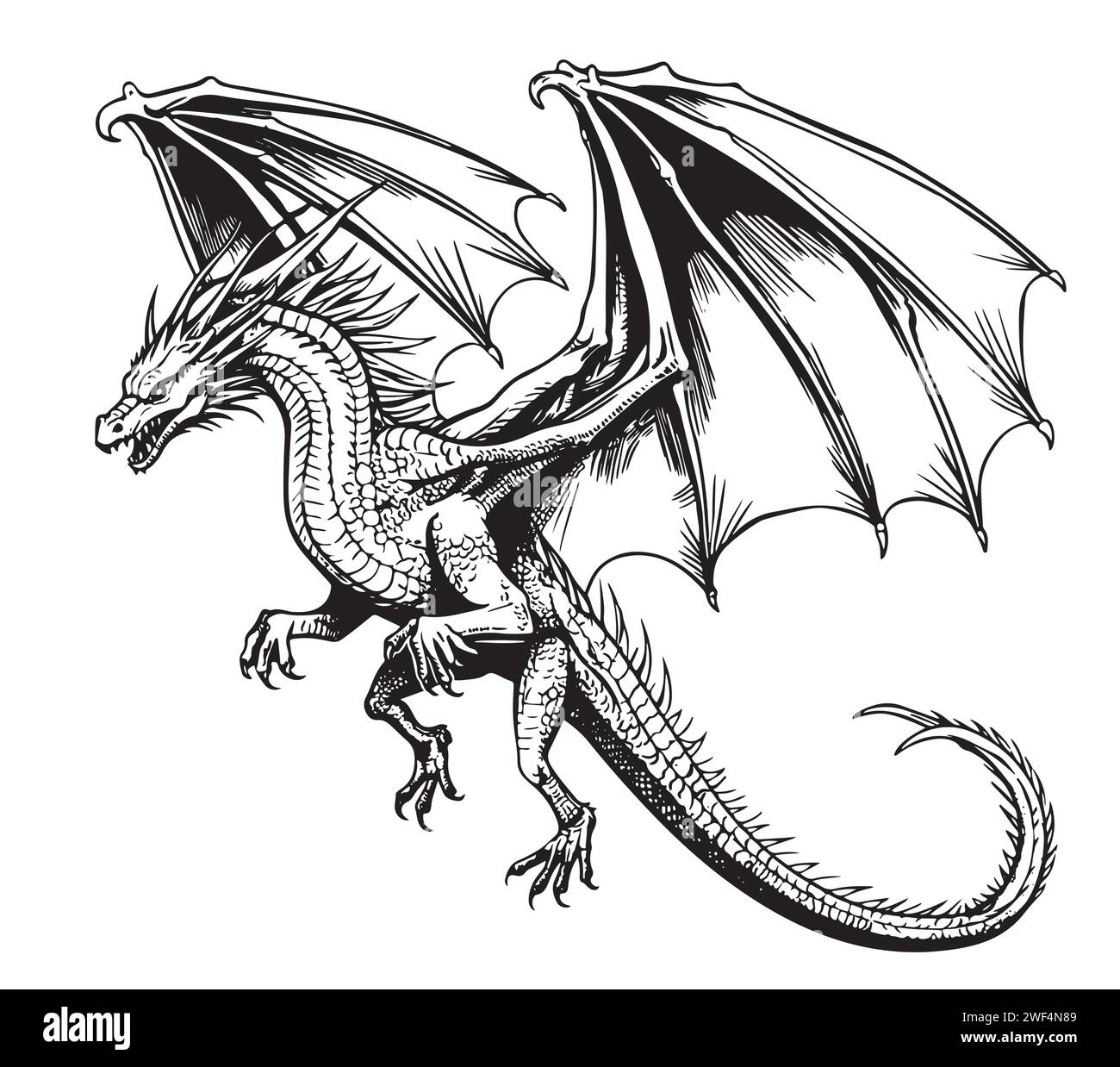 Hand Drawn Engraving Pen and Ink Dragon Vintage Vector Illustration ...