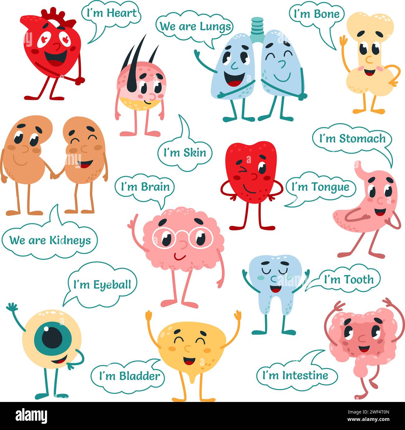 Healthy body organs for educational medical poster. Internal organ ...