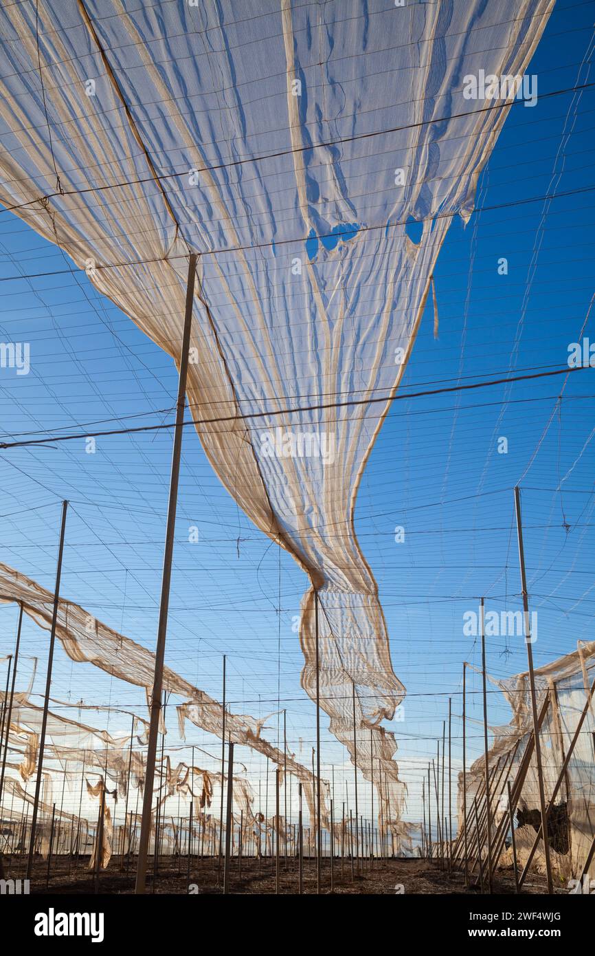 Windbreak netting hi-res stock photography and images - Alamy