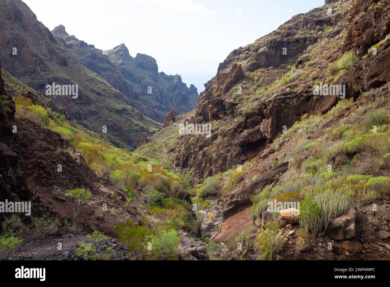 Challenging terrain in the valley leading to the Playa de Barranco Seco ...