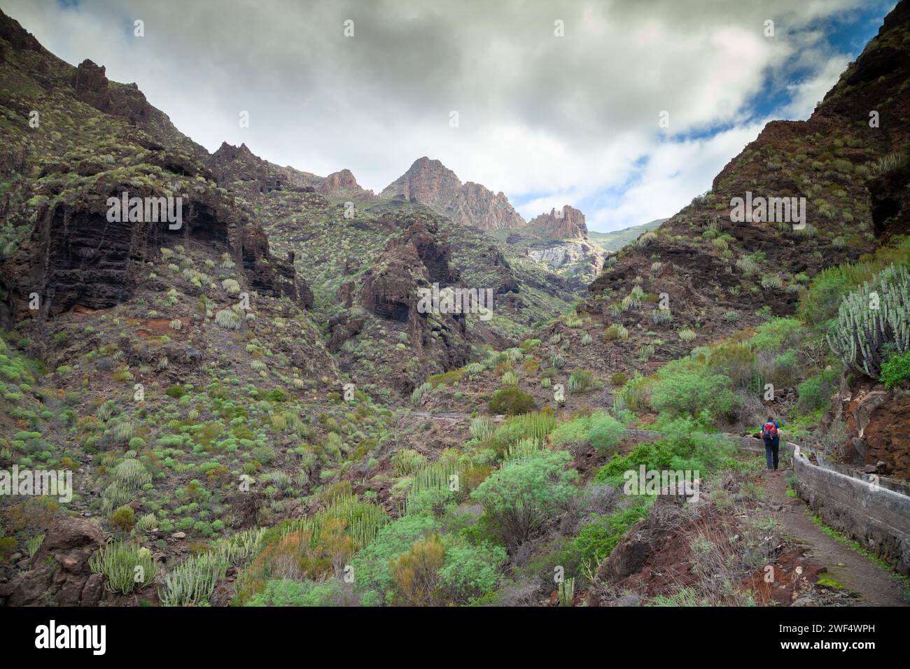 Challenging terrain in the valley leading to the Playa de Barranco Seco ...