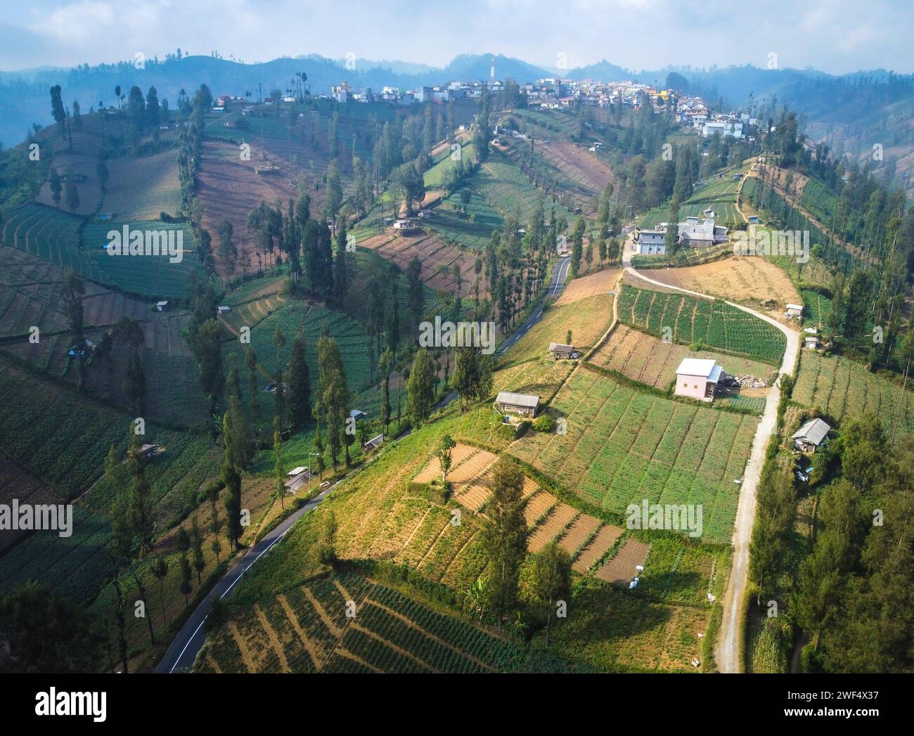 Aerial view of hillside farms in Indonesia Stock Photo - Alamy