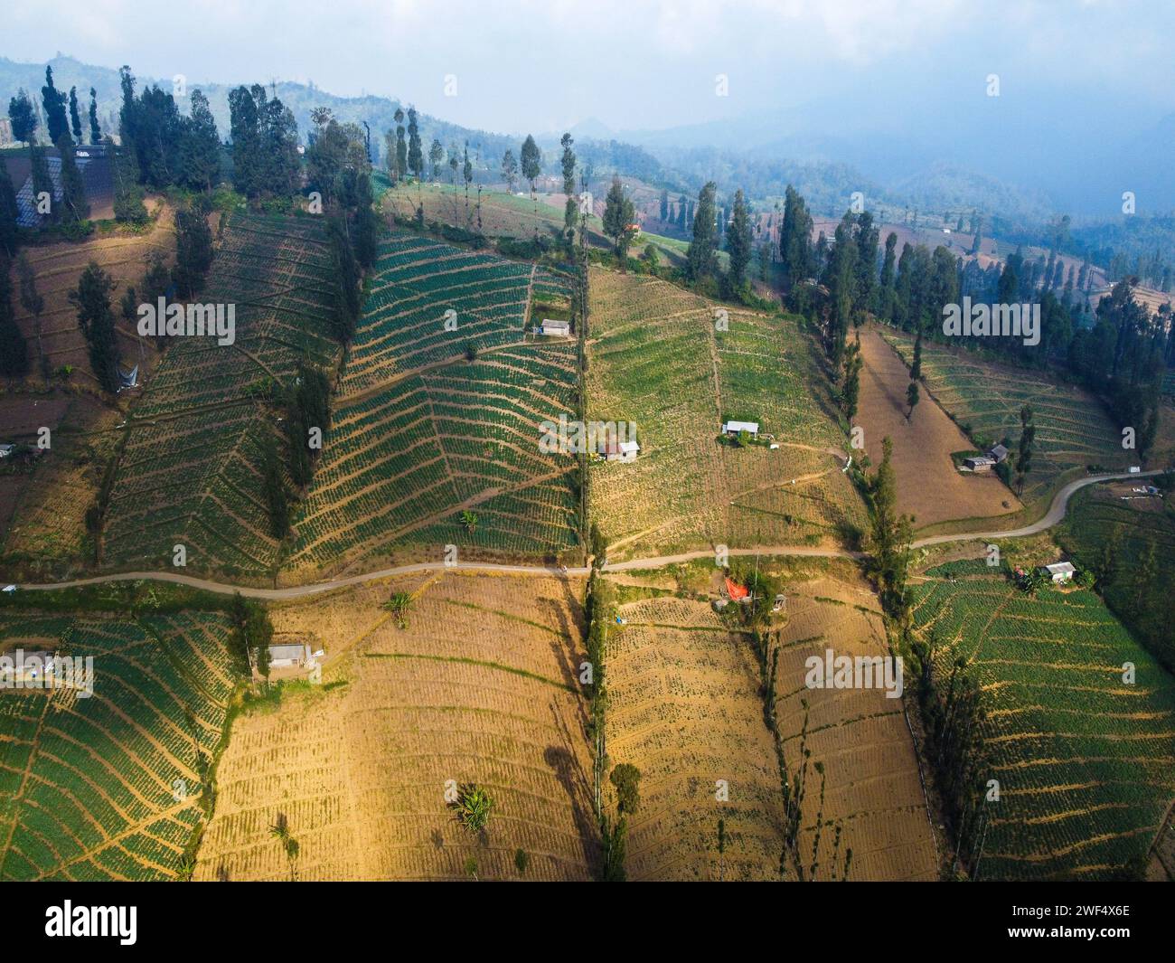 Aerial view of hillside farms in Indonesia Stock Photo - Alamy