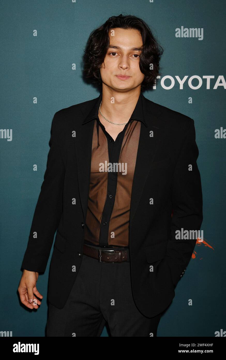 LOS ANGELES, CALIFORNIA - JANUARY 27: Rio Mangini attends The 33rd Annual EMA Awards Gala ...